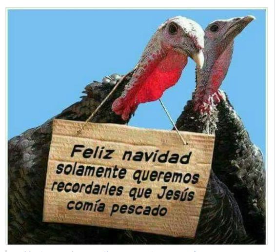 35 memes de diciembre graciosos para compartir por WhatsApp
